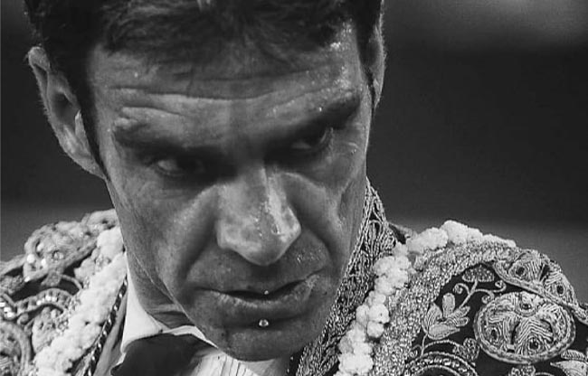 José Tomás, luces y sombras de su enésimo retorno | toreteate.com