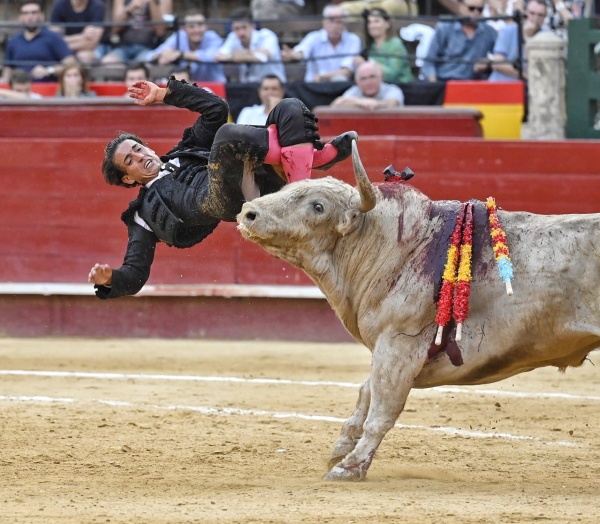 El milagro de Jesús Duque | Toreteate.com