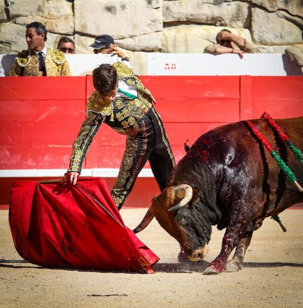 Christian Parejo hace historia al convertirse en el novillero ...