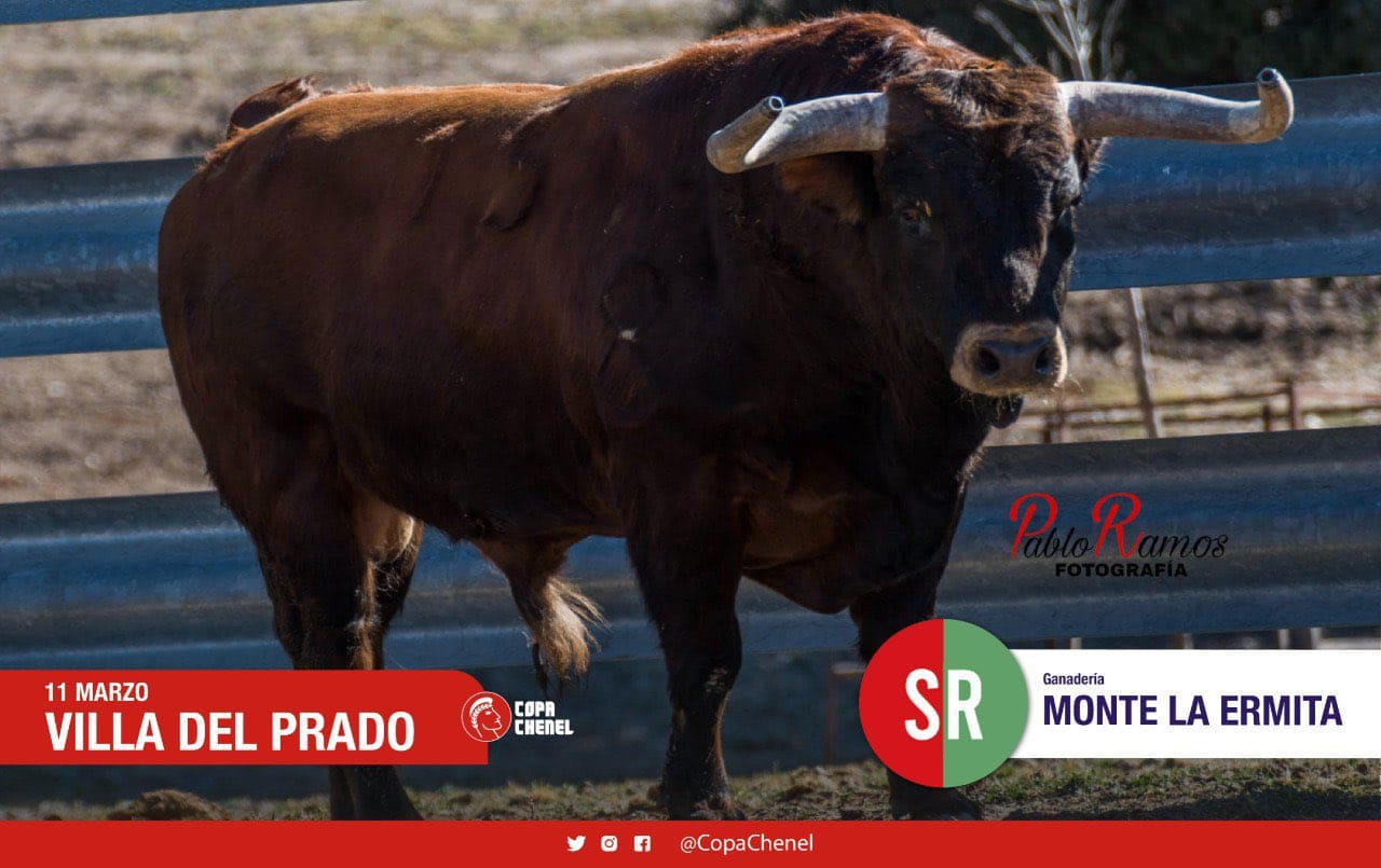Estos son los toros de Pablo Mayoral y Monte la Ermita para la Copa ...