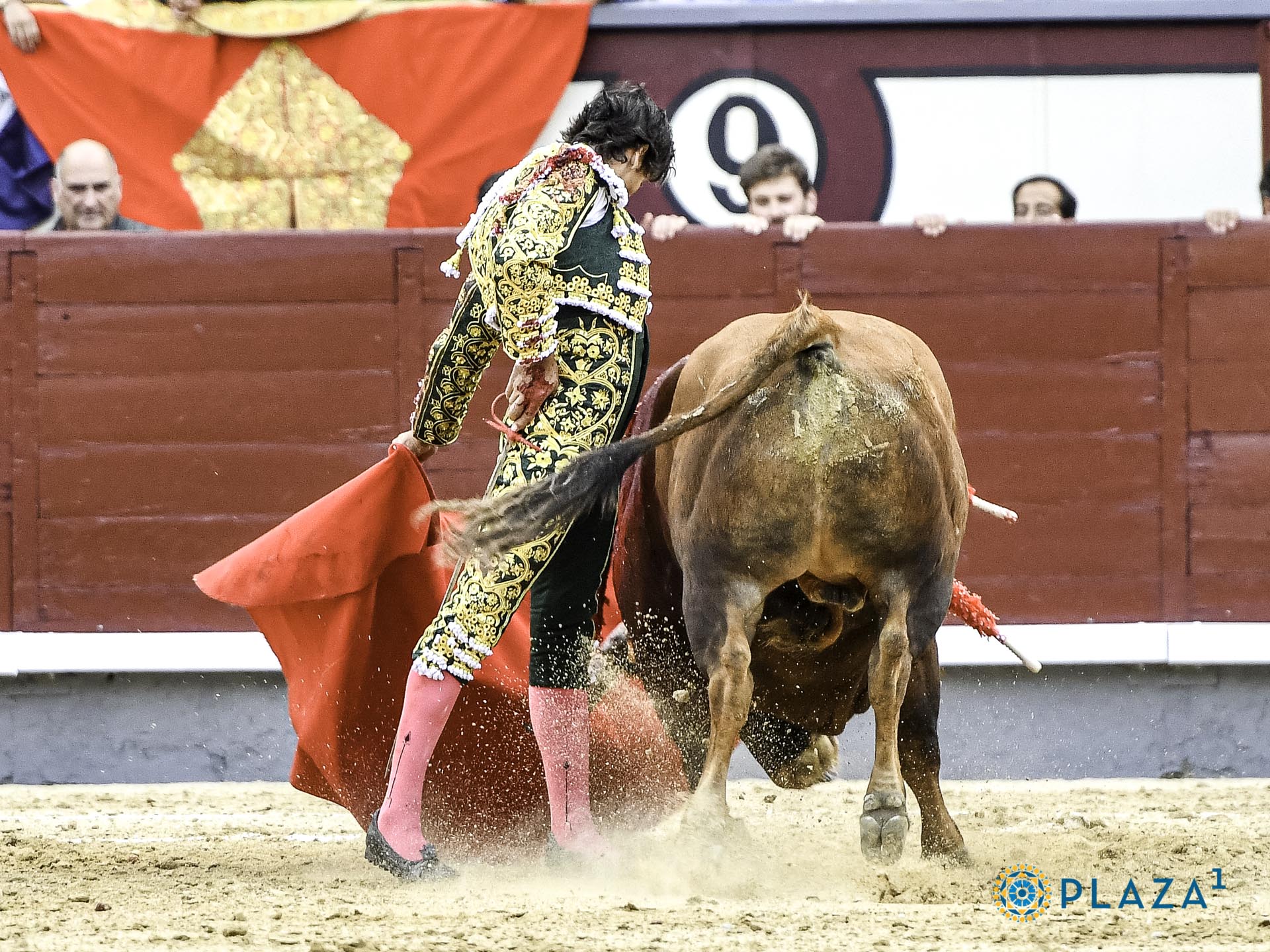 Madrid: Curro Díaz siempre vuelve... aunque sea sin espada | Toreteate.com