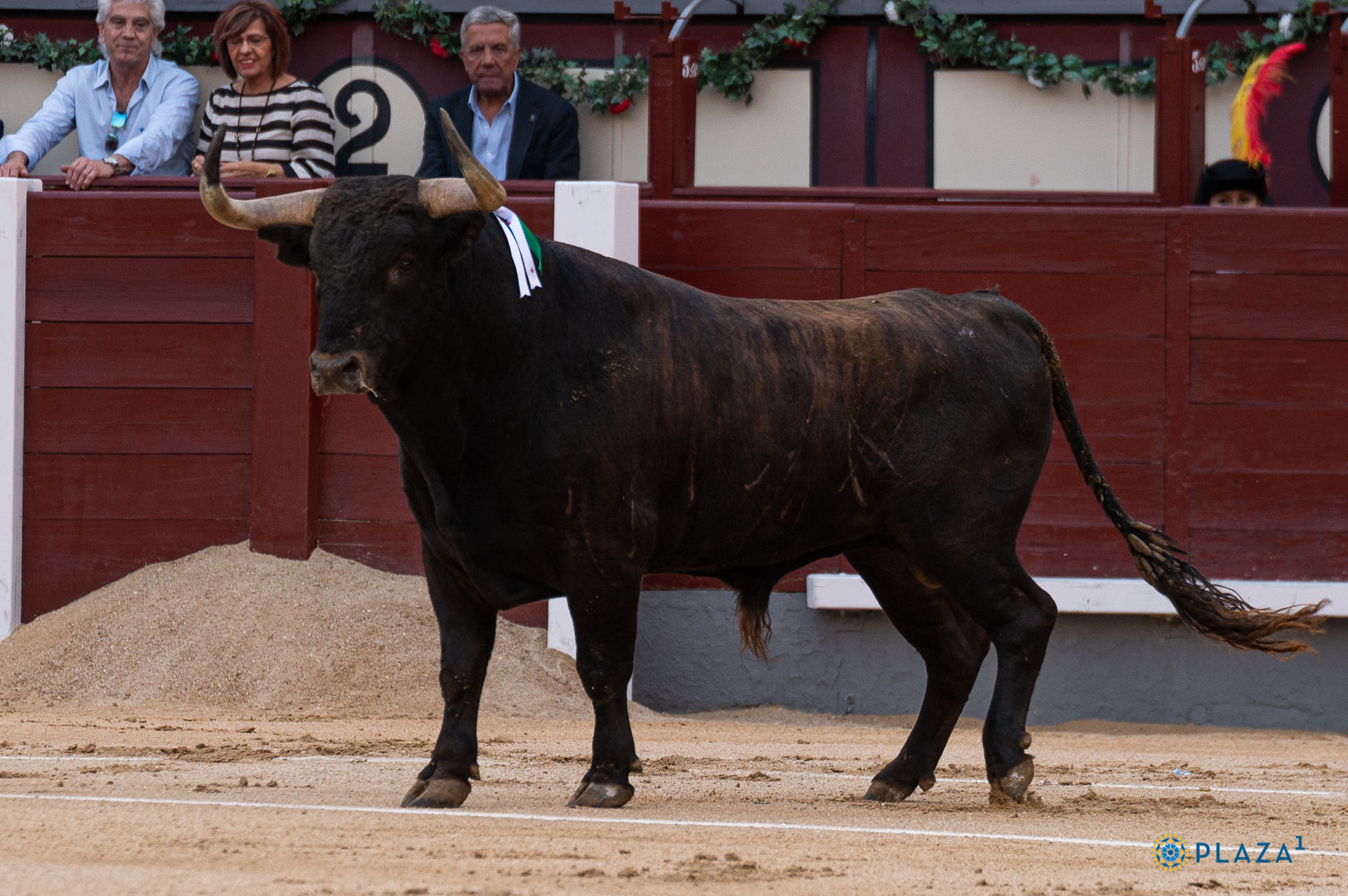 Leña y nobleza de Gabriel Rojas, con orejas, en tarde de silencios para ...