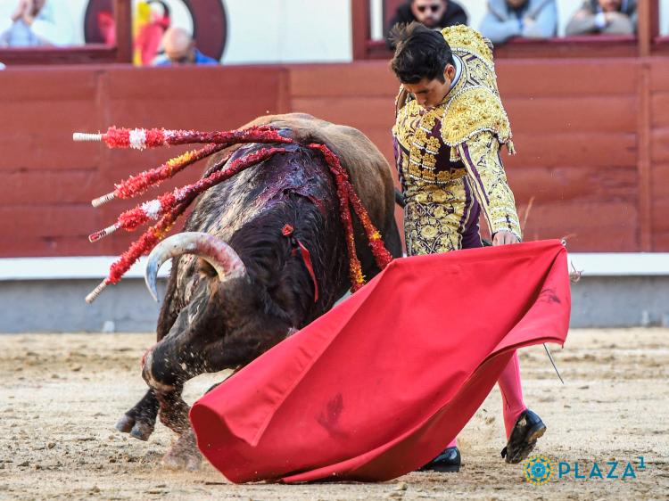 José Rojo, un novillero cuajado y con oficio | Toreteate.com